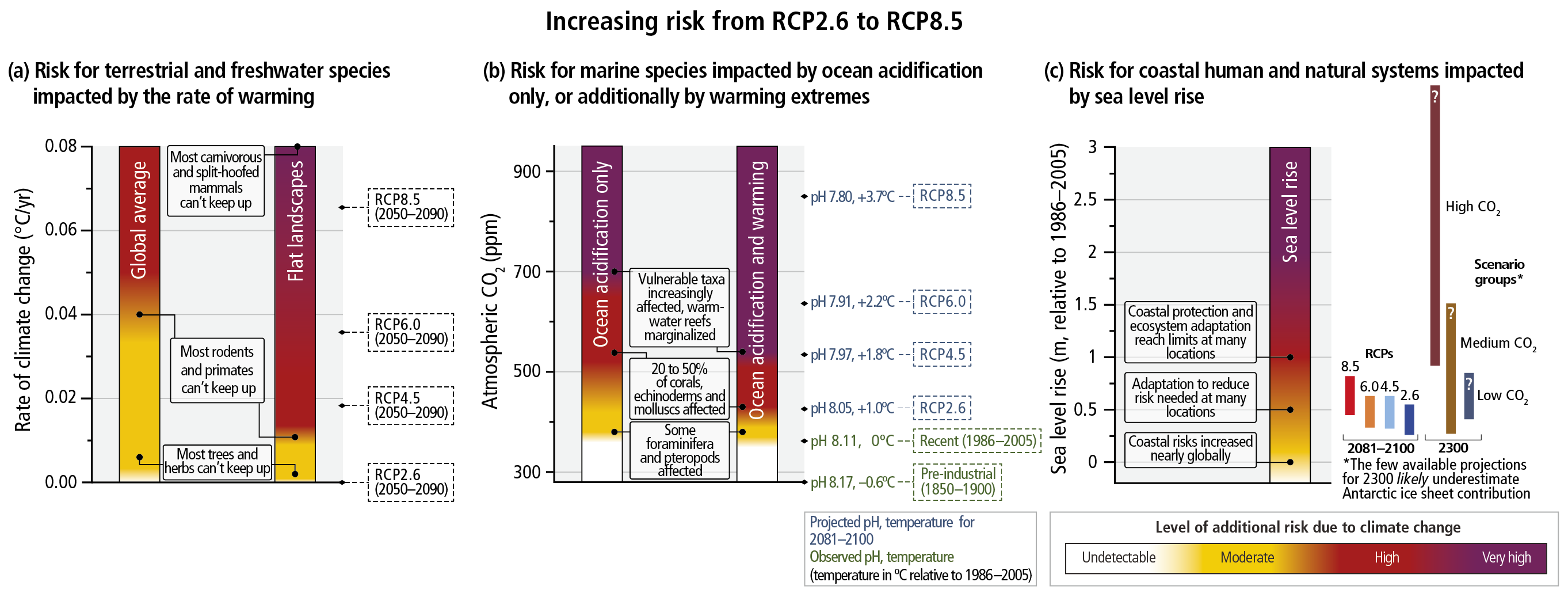 IPCC Report Graphics