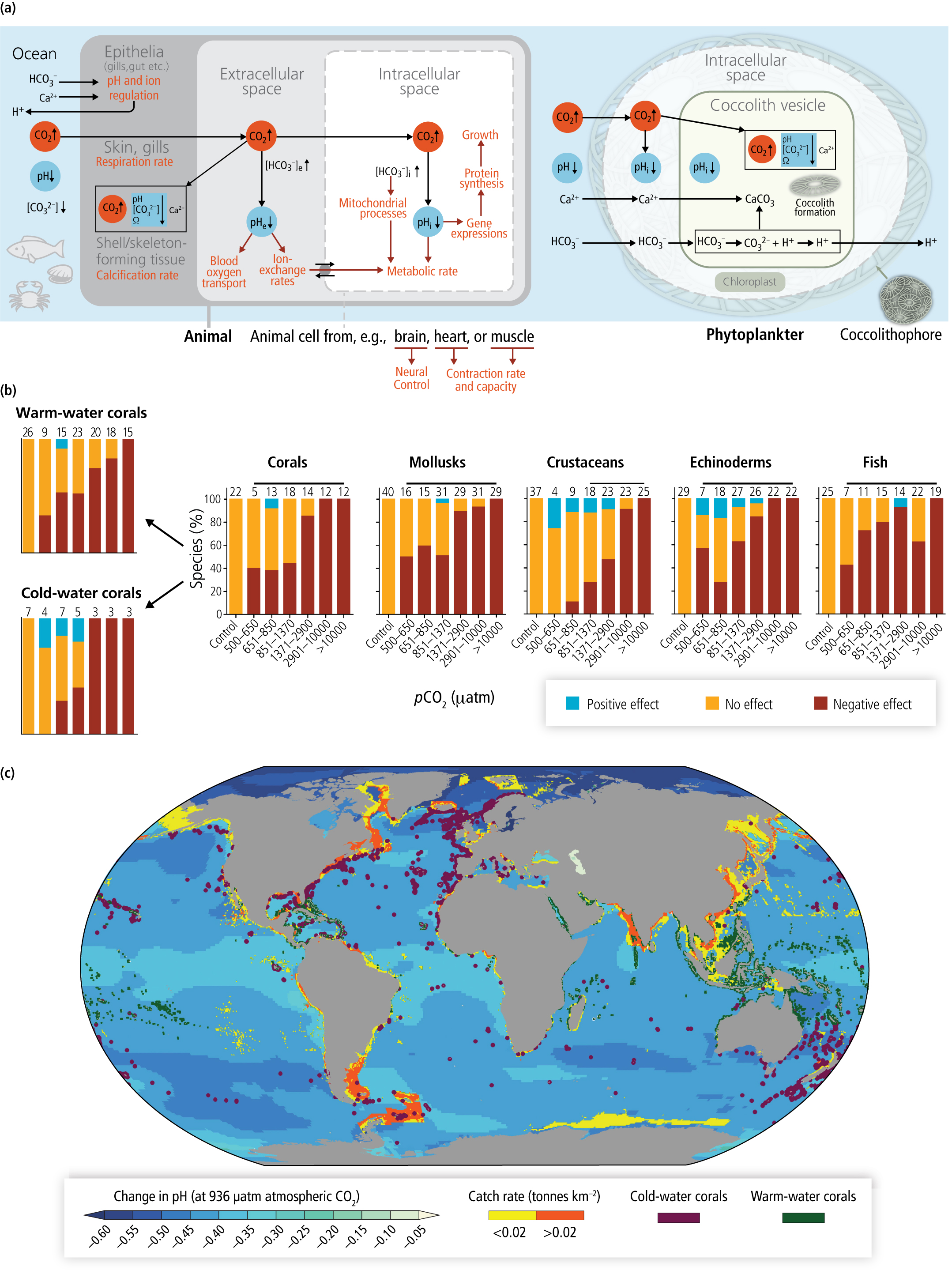 IPCC Report Graphics